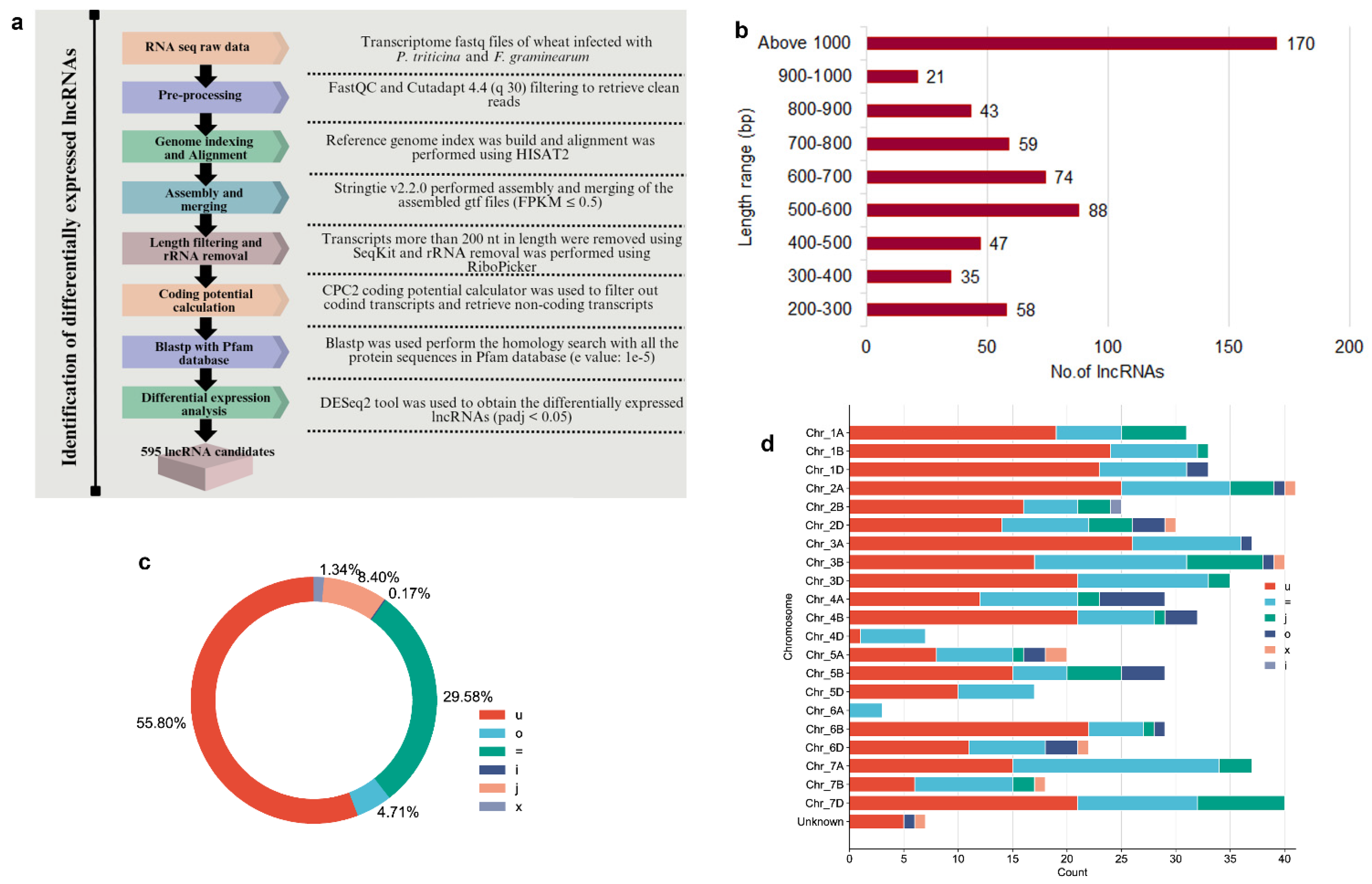 Comprehensive in silico analysis to decipher the role of long non ...