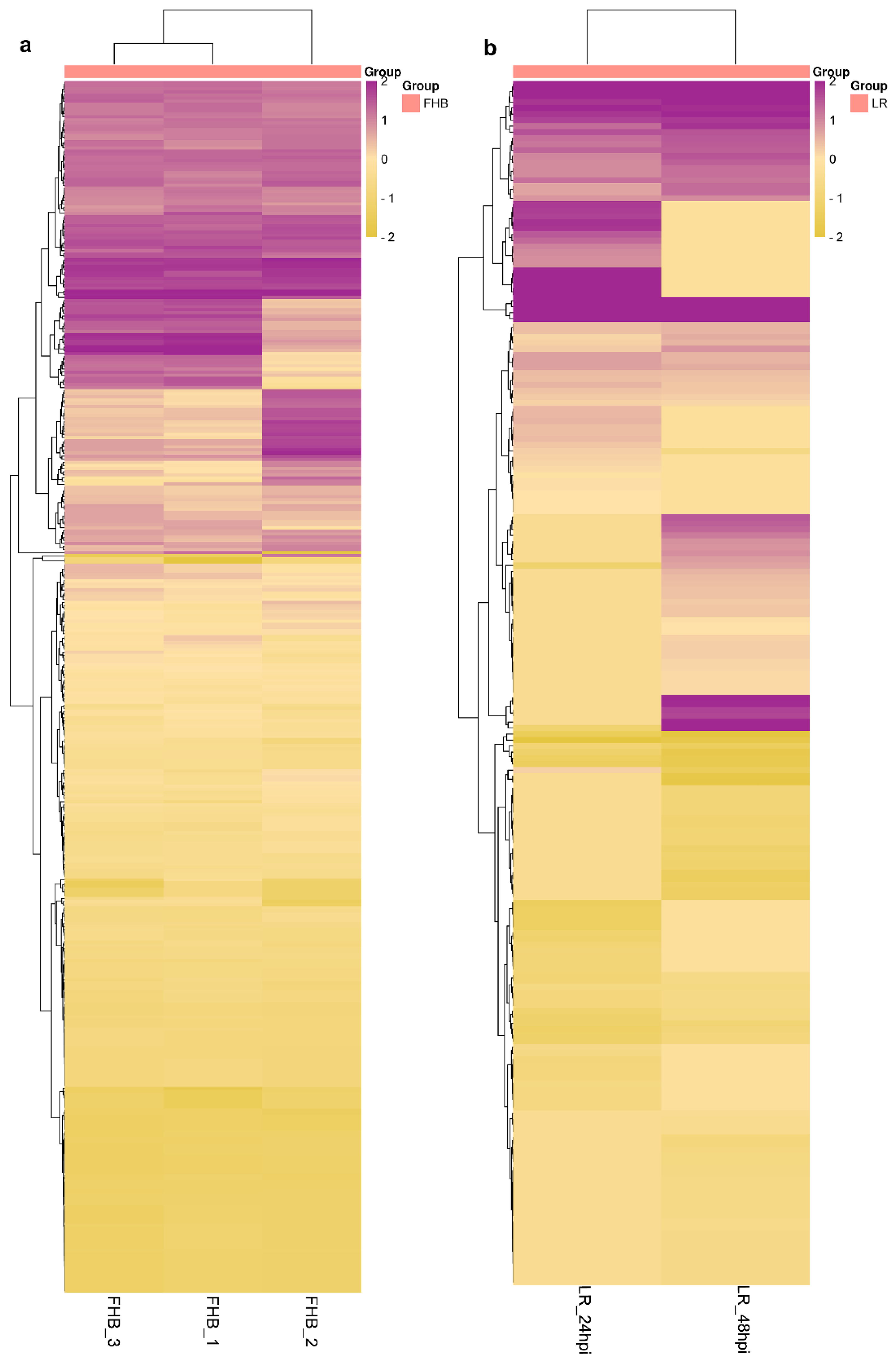 Comprehensive in silico analysis to decipher the role of long non ...