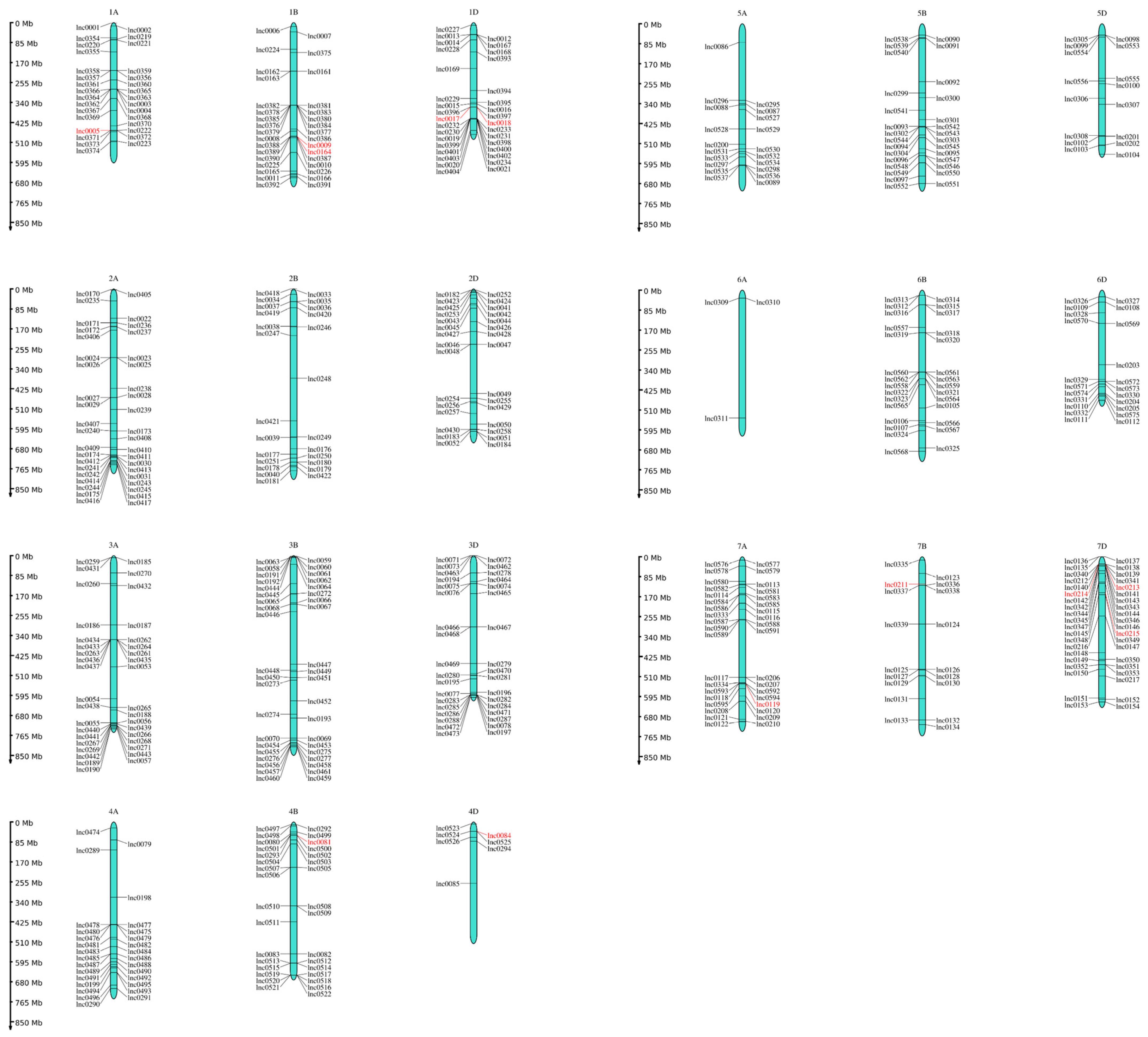 Comprehensive in silico analysis to decipher the role of long non ...