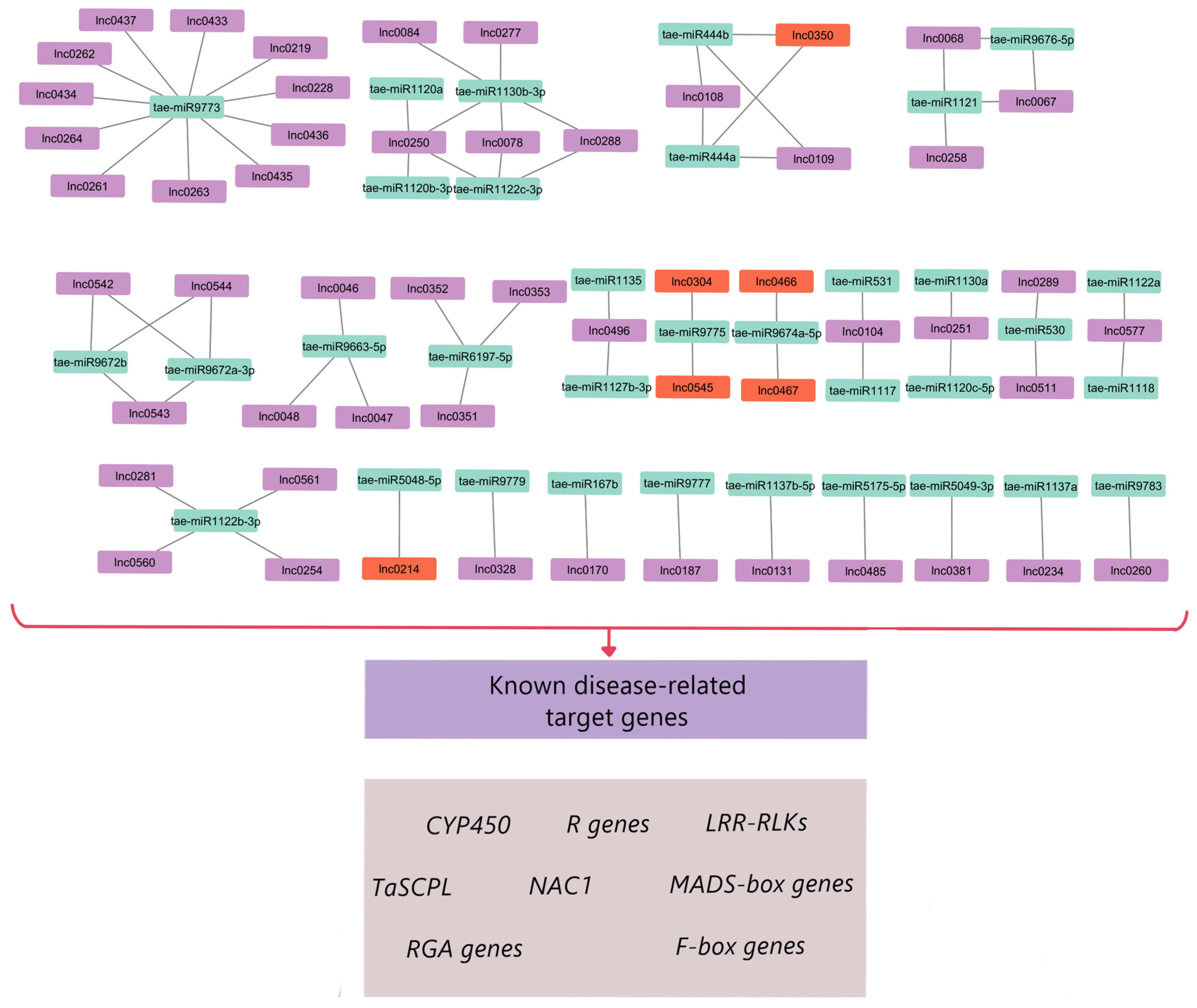 Comprehensive in silico analysis to decipher the role of long non ...