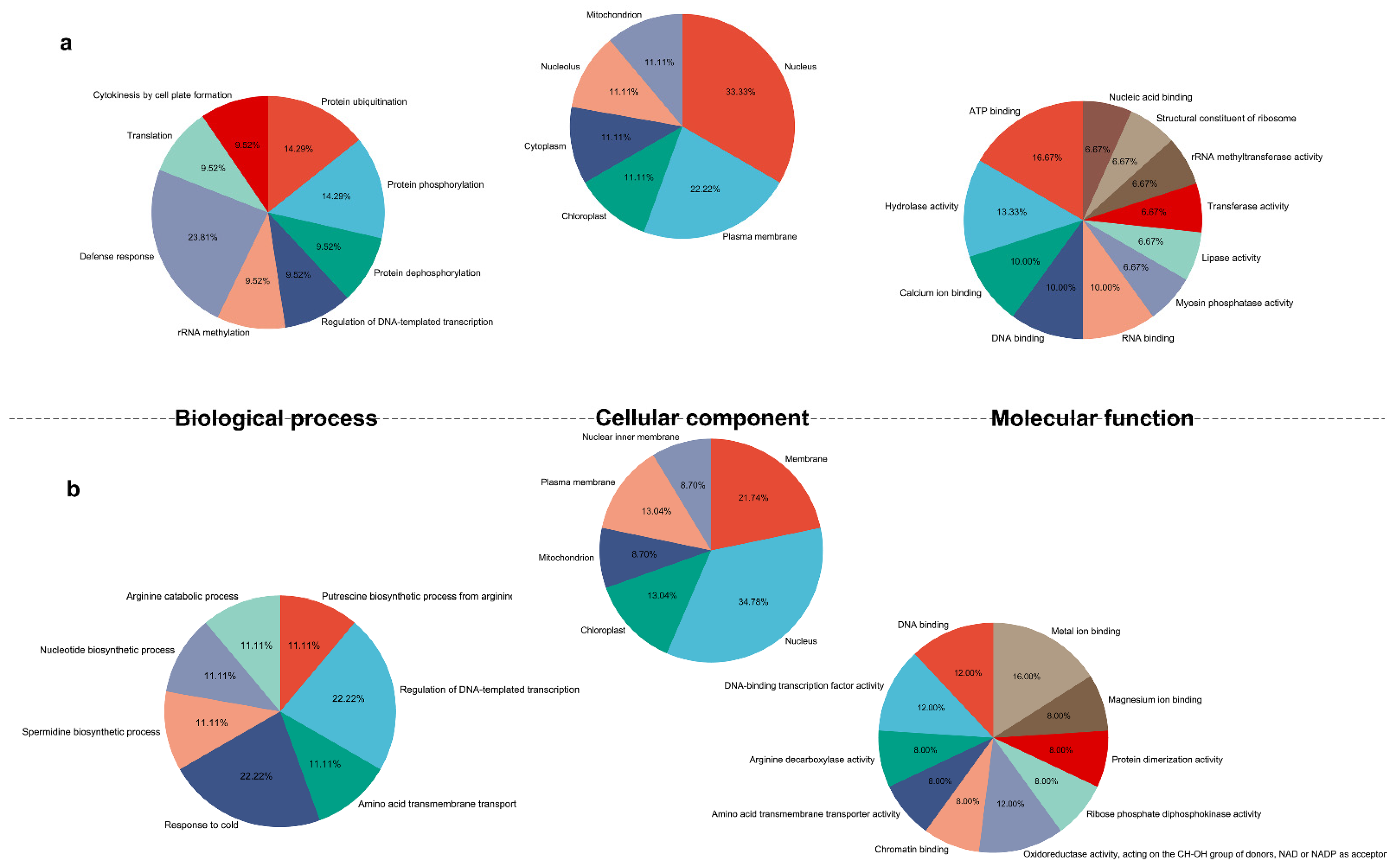 Comprehensive in silico analysis to decipher the role of long non ...