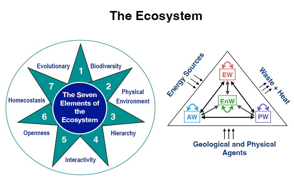 A new definition and three categories for classifying ecosystems ...