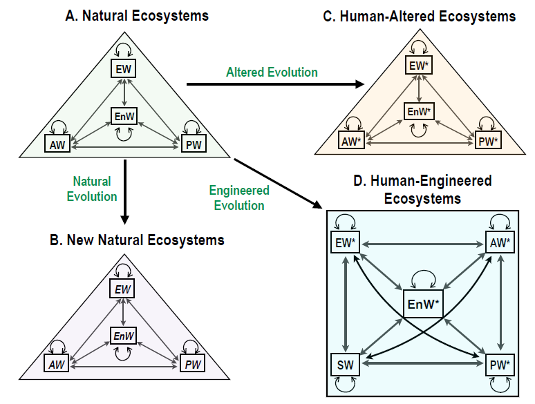 A new definition and three categories for classifying ecosystems ...