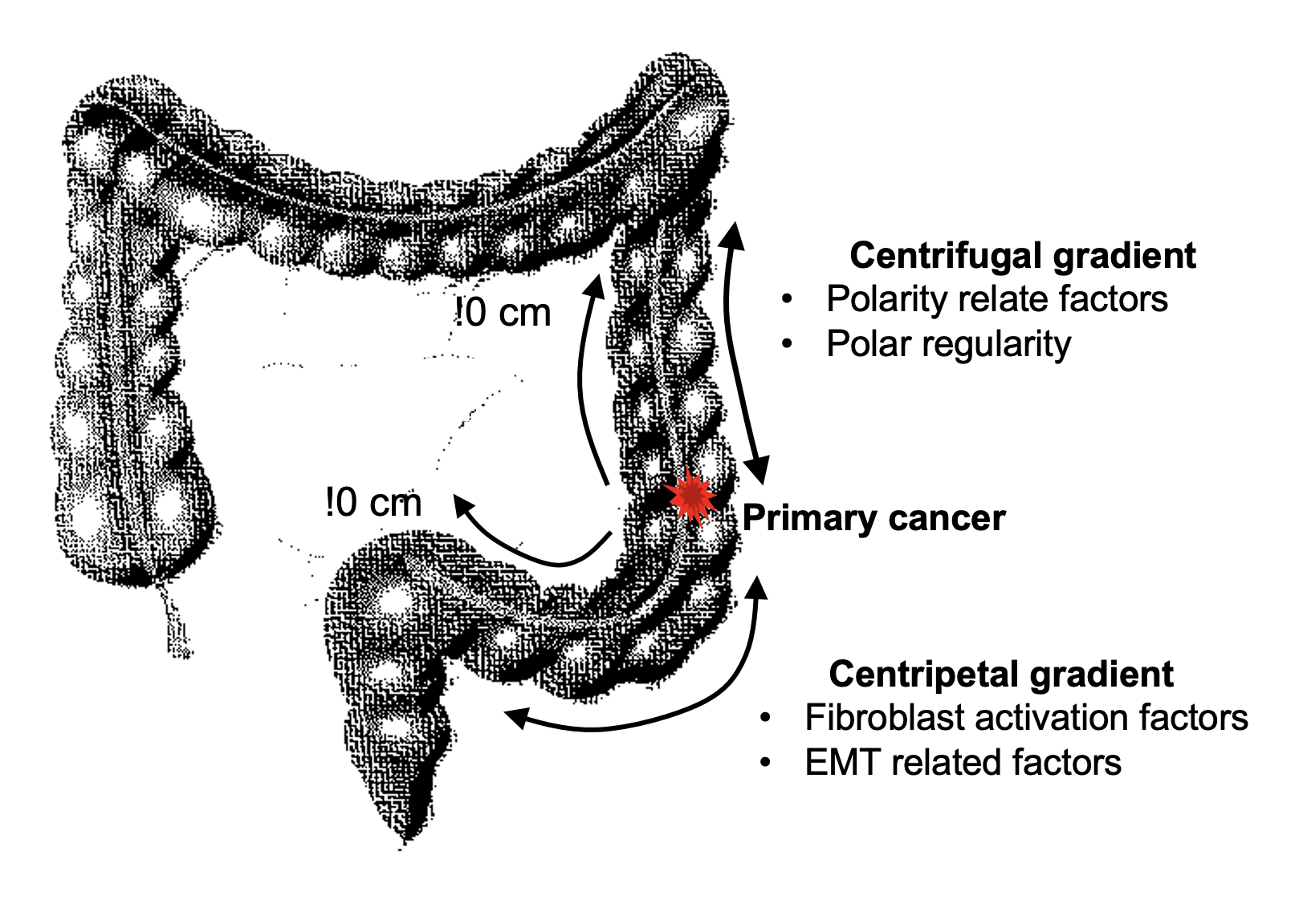 Medical and scientific evidence for the cancer attractor - Academia.edu