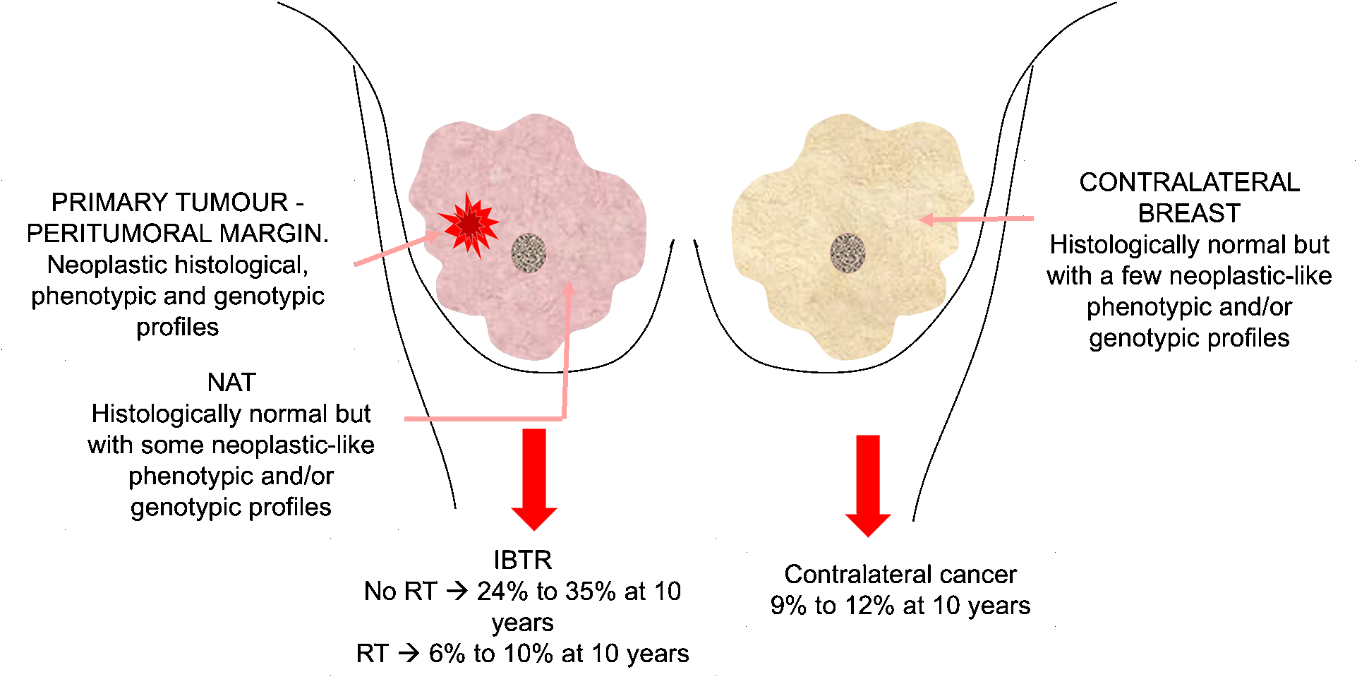 Medical and scientific evidence for the cancer attractor - Academia.edu