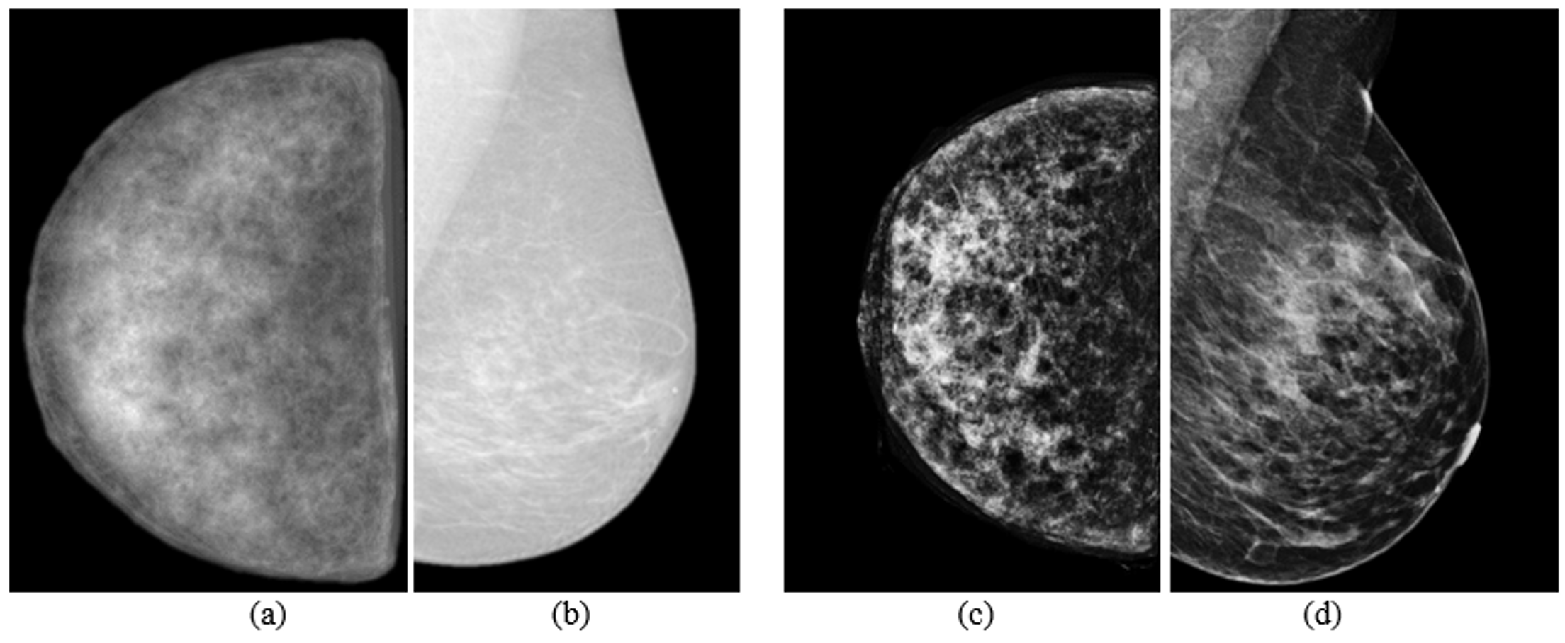 Analytical software for visual and quantitative comparison of real ...